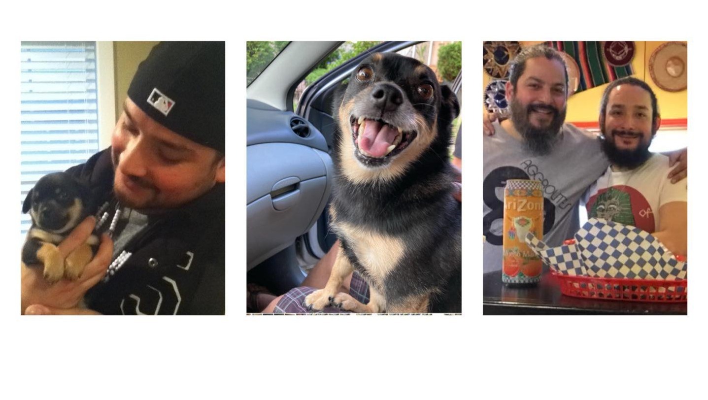 Fundraiser by Danielle Lynn : Help Carlos and Chulo recover after a ...