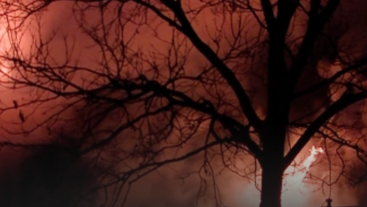 Fundraiser for JOHNNA JESSUP by Evelyn Aquallo : JOHNNA WILSON WILDLIFE ...