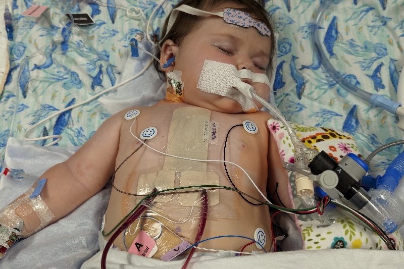 Fundraiser by Sarah Ference : Baby Elissa needs heart & Liver Transplant