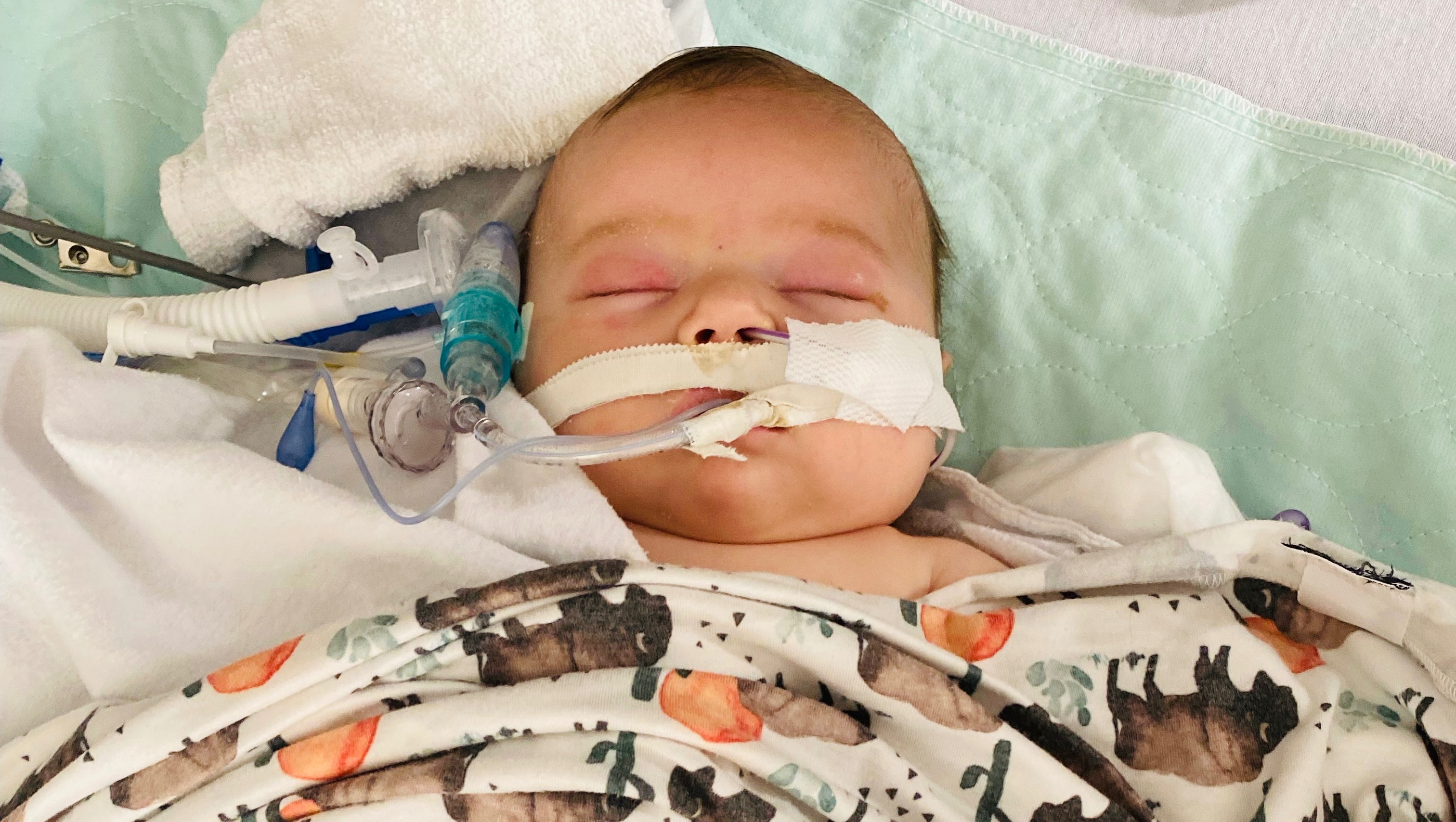 Fundraiser for Cody Rains by Morgan Green : Baby Owen in the ICU with RSV