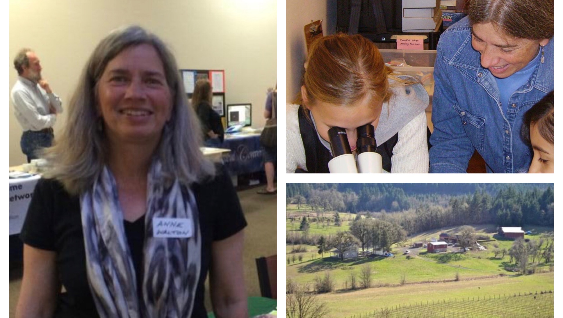 Fundraiser by Lynne Haas : Help Anne Fight Stage 4 Brain Cancer (GBM)