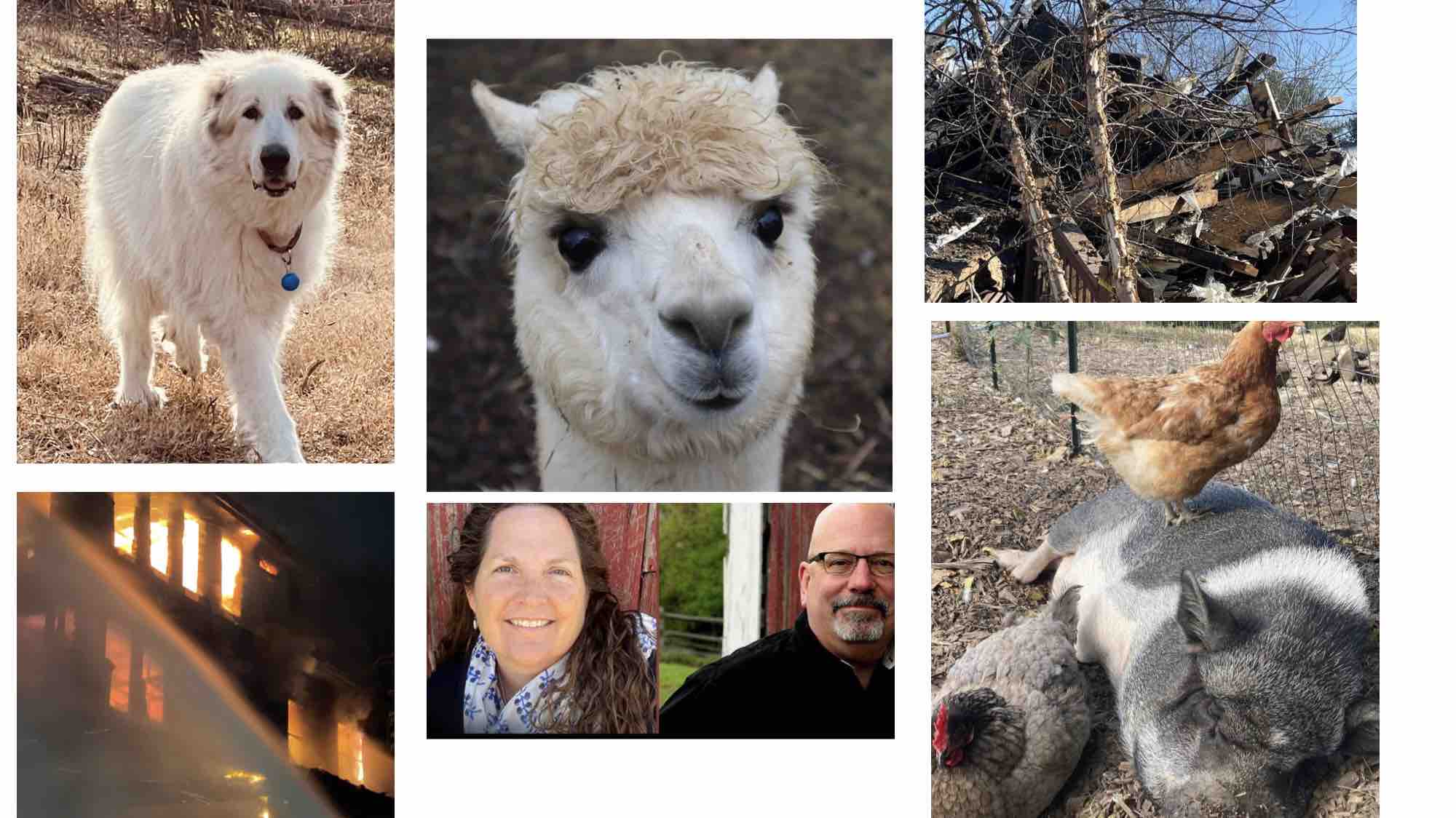 Fundraiser for Mary Laymon by Gwyn Duffy : Help Mary and Greg and ...