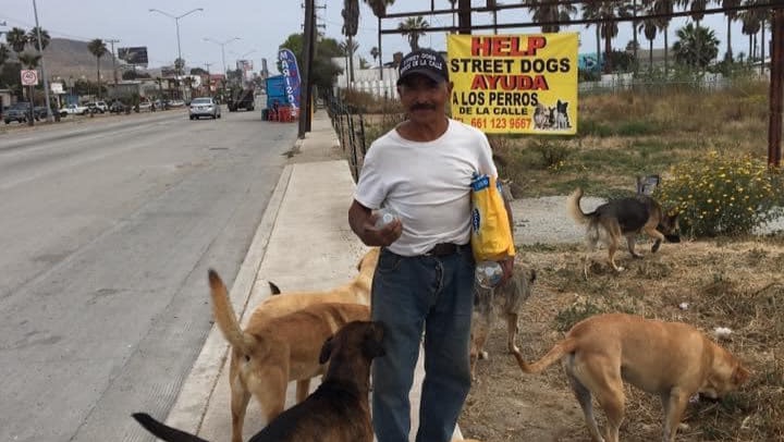 Fundraiser by Sue Ward : Don Efrain Campos, The Dog Whisperer of Rosarito