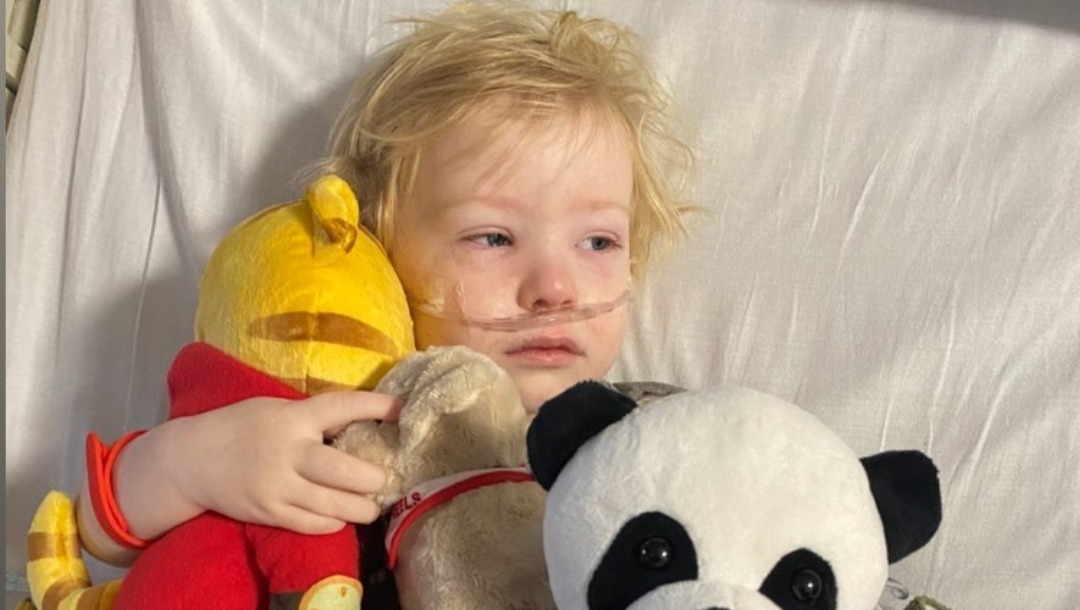 Fundraiser by Katie Kirschenheiter : Bauer Speltz Medical Expenses