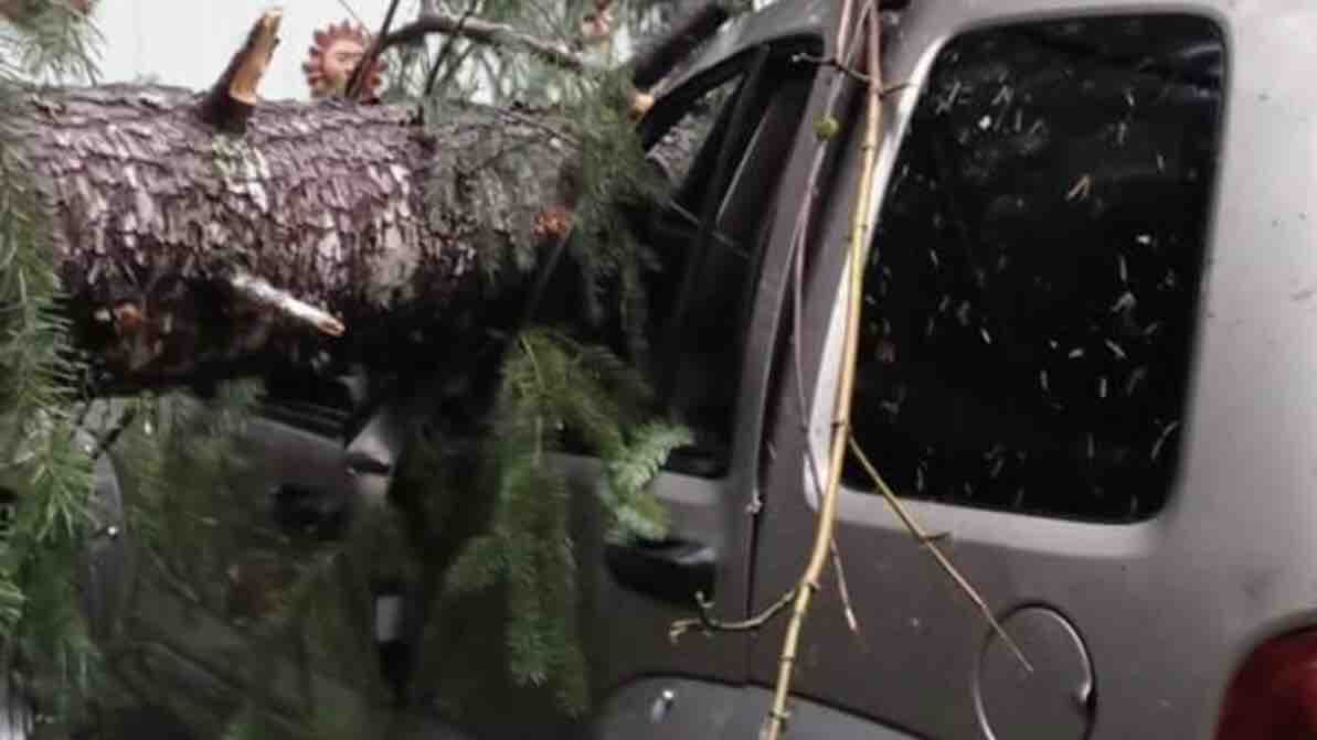 Fundraiser by Rene Randall : Connie Cross vehicle replacement