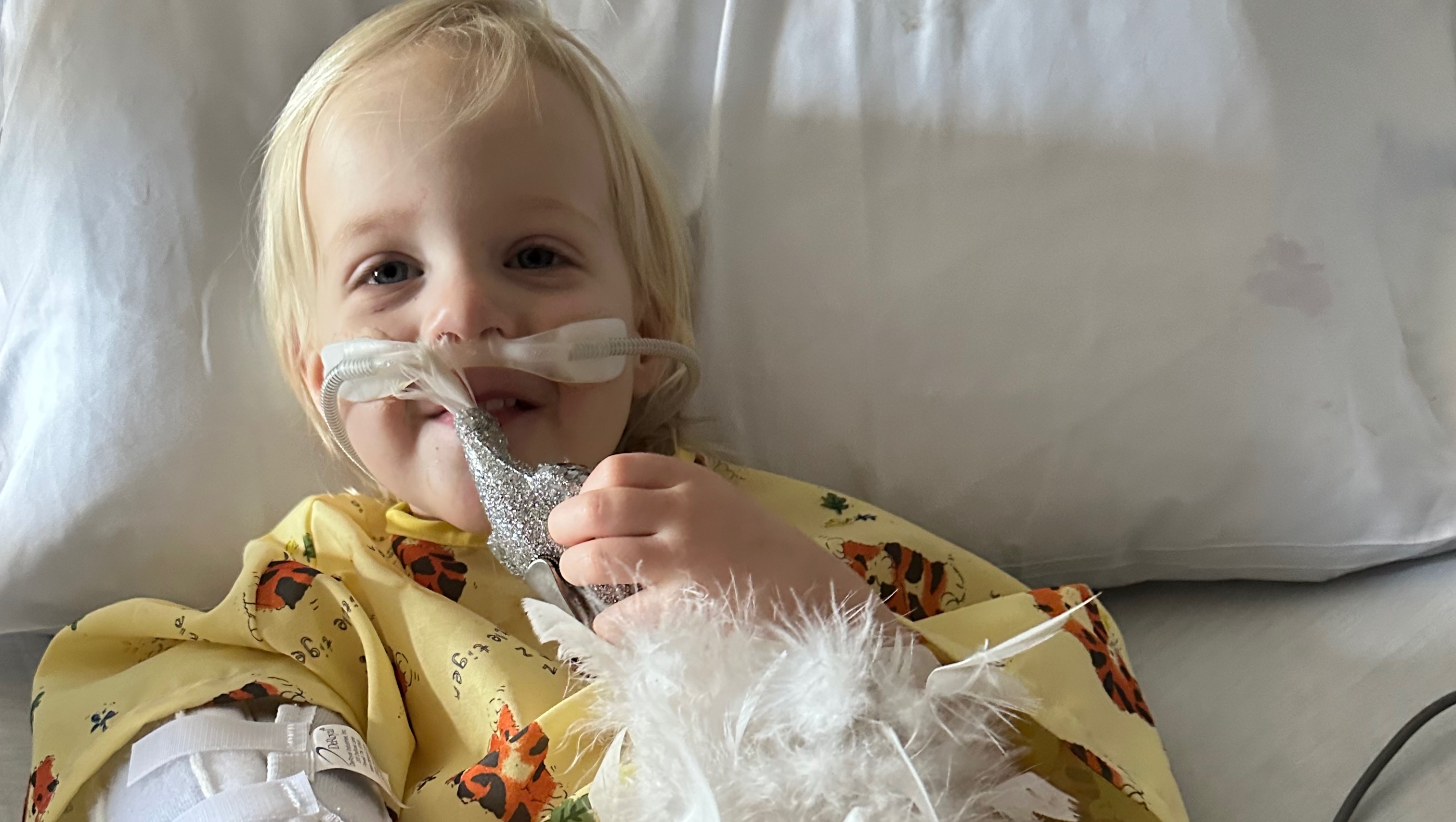 Fundraiser by Olivia Chaffee : Baby Maeve and Family