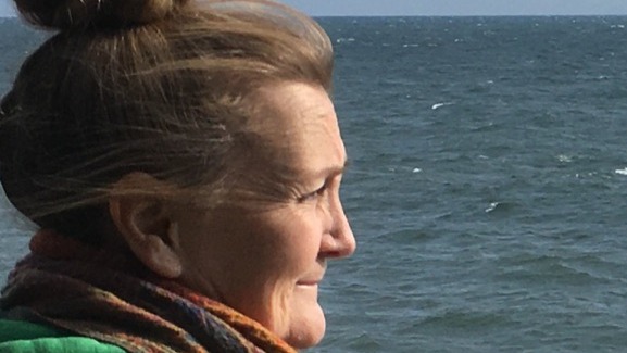 Fundraiser for Elizabeth Hanson by Margo Mills- Anne Hartberg ...