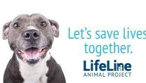 Fundraiser by Casey Dellinger : Every Dog Deserves a Dream Home!