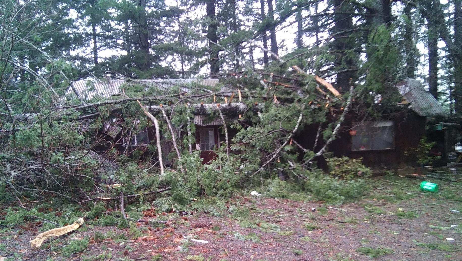 Fundraiser for Jane Zeni by John Penner : Help with Zeni Family