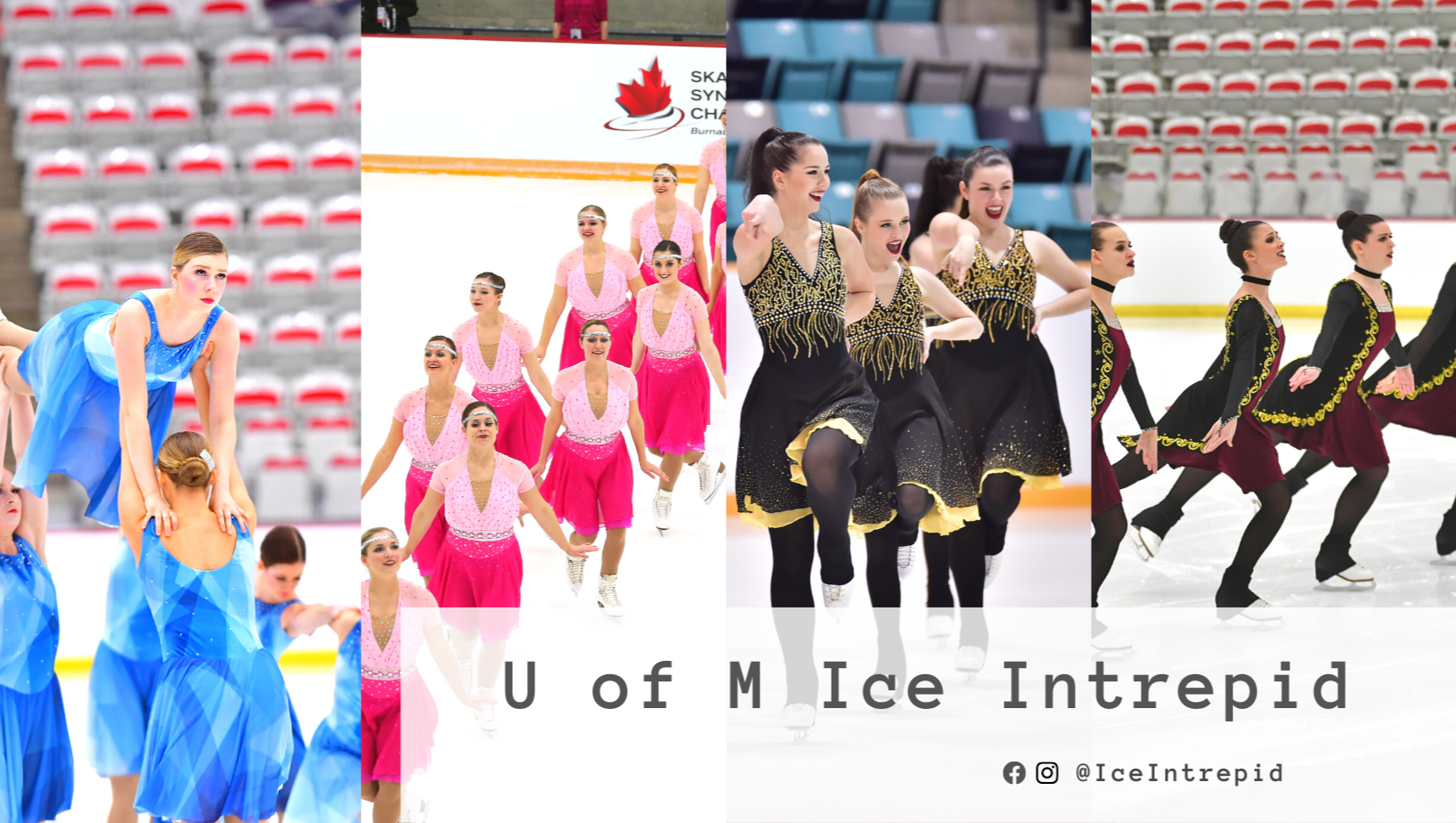 Fundraiser by Ice Intrepid : Help U of M Ice Intrepid go to Ottawa