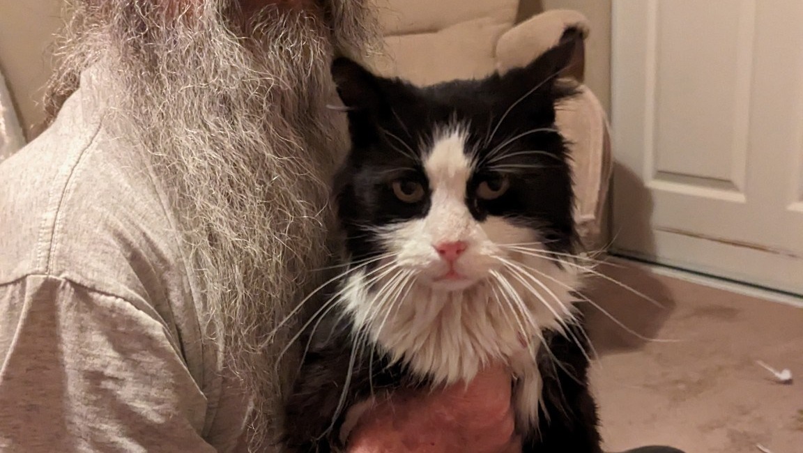 Fundraiser by Mark Fecteau : Help Toto get the medication and vet service