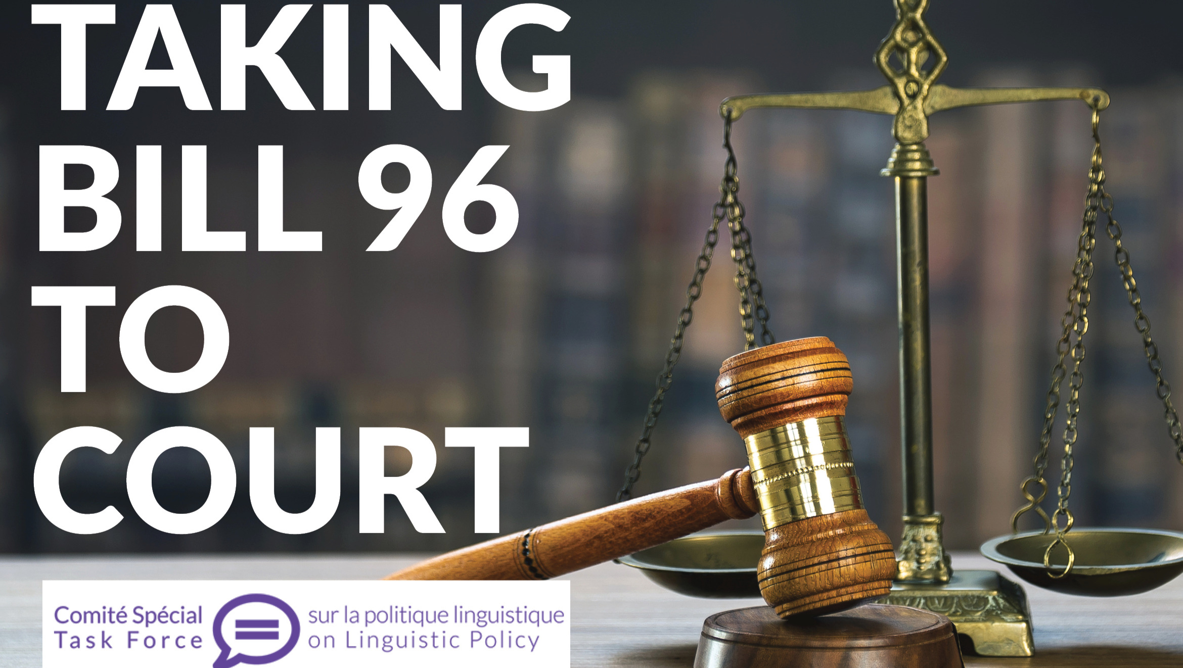 Fundraiser by Task Force on Linguistic Policy : Taking Bill 96 to Court