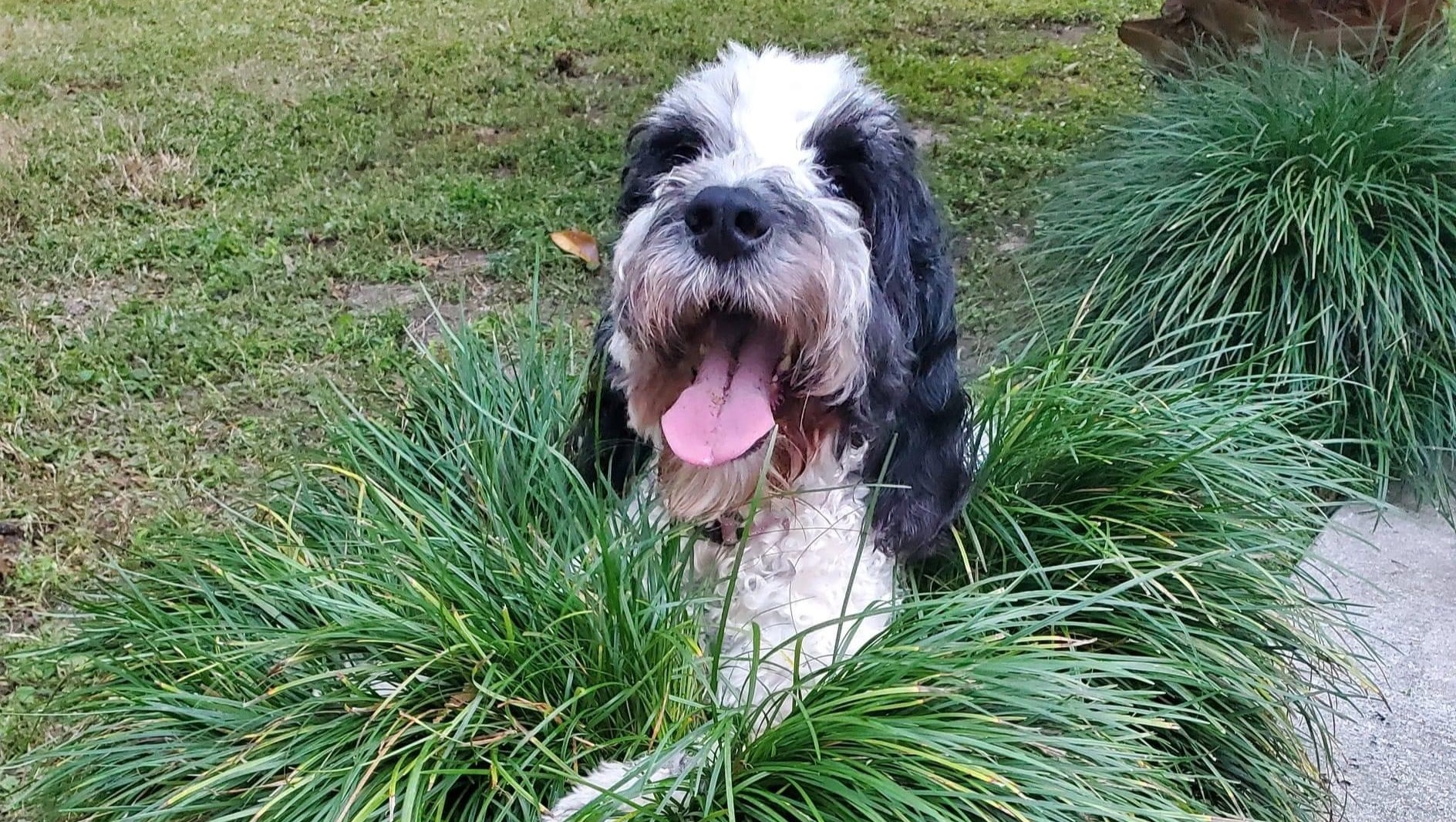 Fundraiser for Lisa Mackey Preston by Alison Crane : Lisa Mackey ...