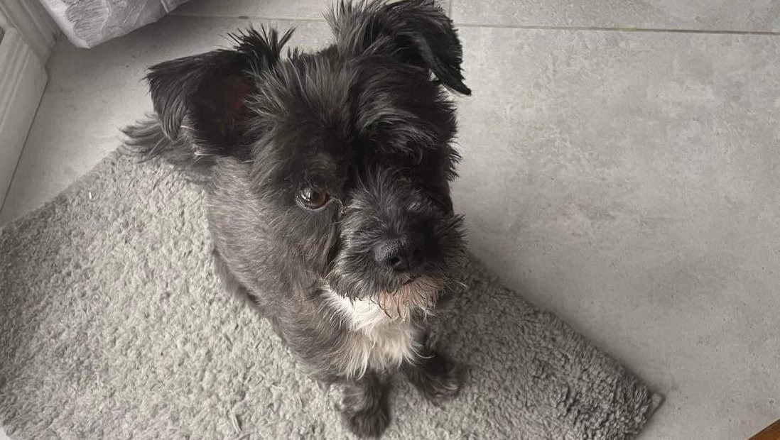 Fundraiser for Alan Simoneau by Michelle Simoneau : Donate to help William