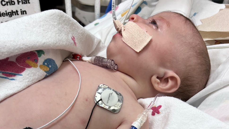 Fundraiser for Amber Pagano by Stacie L. : HELP SUPPORT BABY PAYTON ...