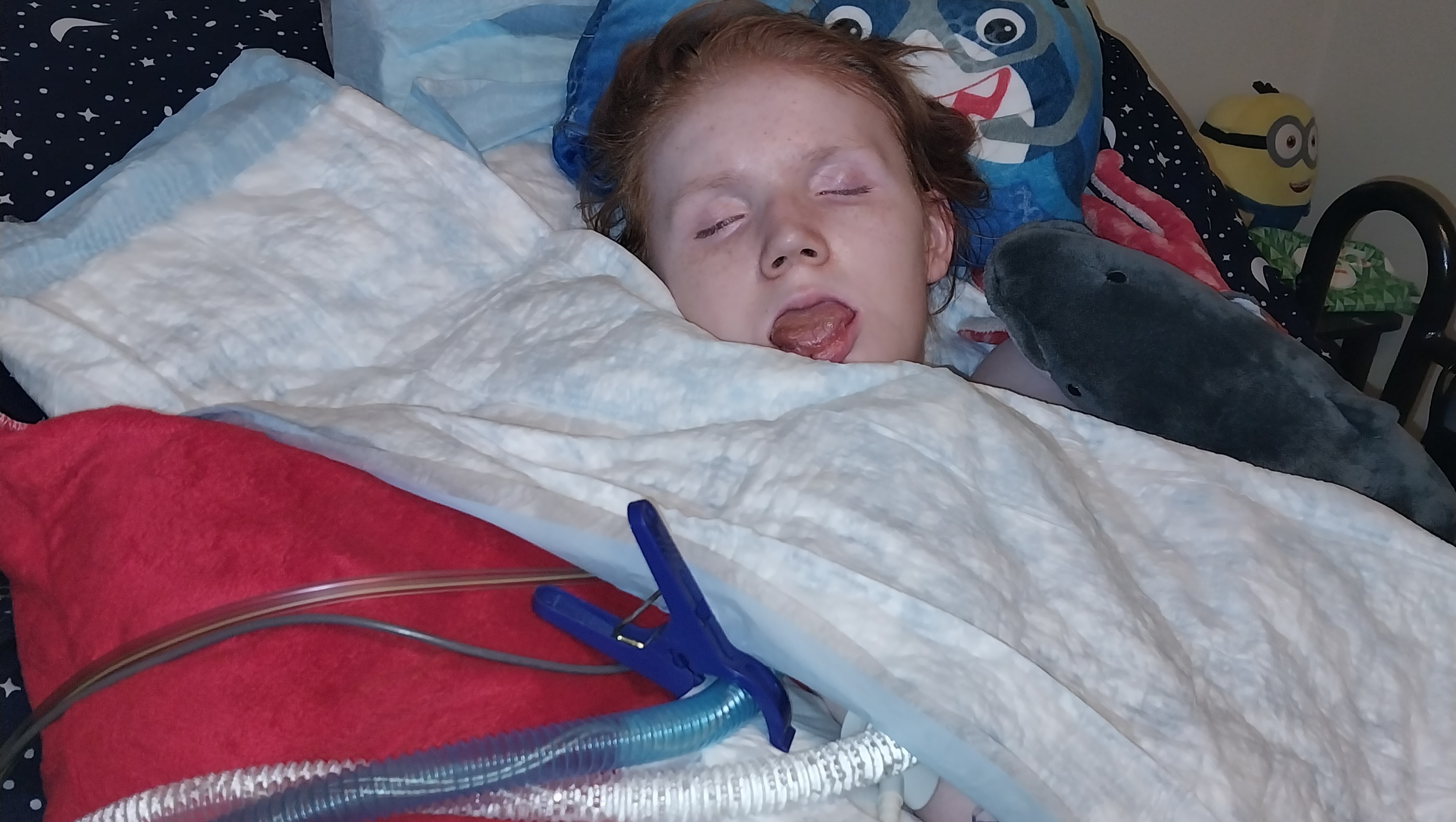 Fundraiser by Virginia Gray : Kaidon Tuttle