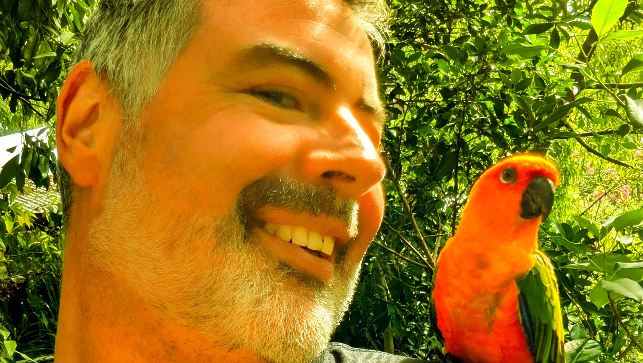 Fundraiser by Nick Chesterfield : 2024 Frontline recovery: Sepsis ...