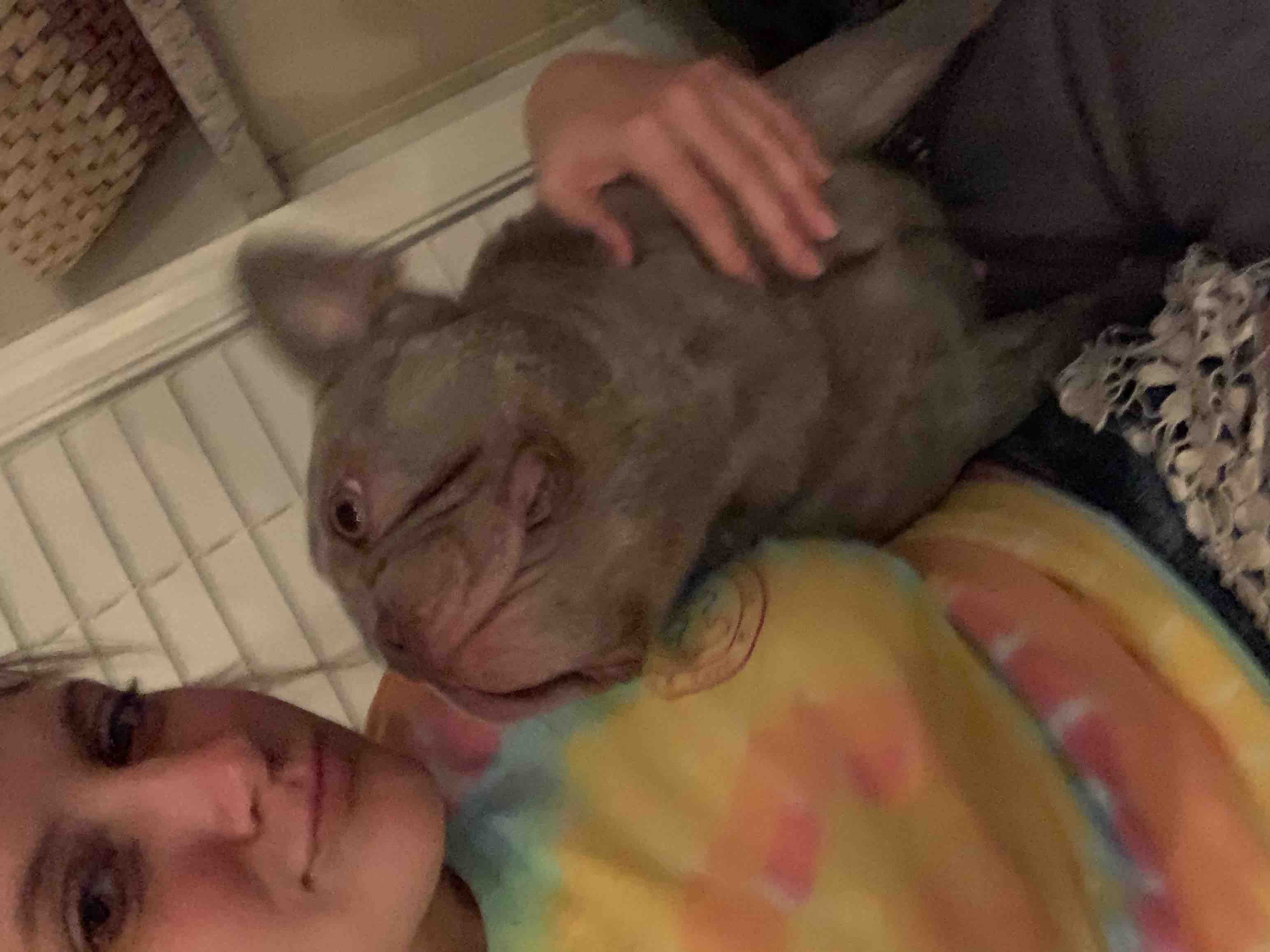 Fundraiser for Rebecca Hancock by Bethany Hudson : Becca’s goofball pup ...