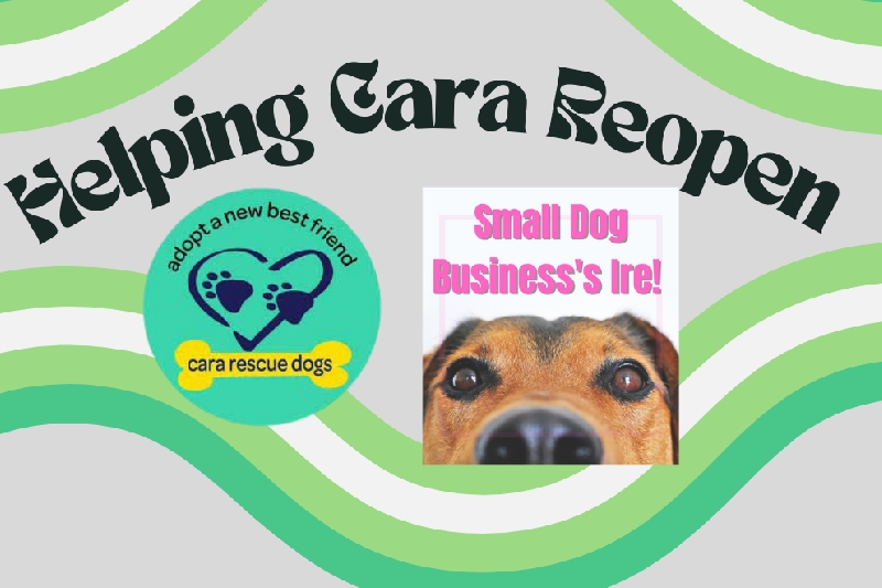 Fundraiser by Give That Paw : Helping CARA RESCUE REOPEN!