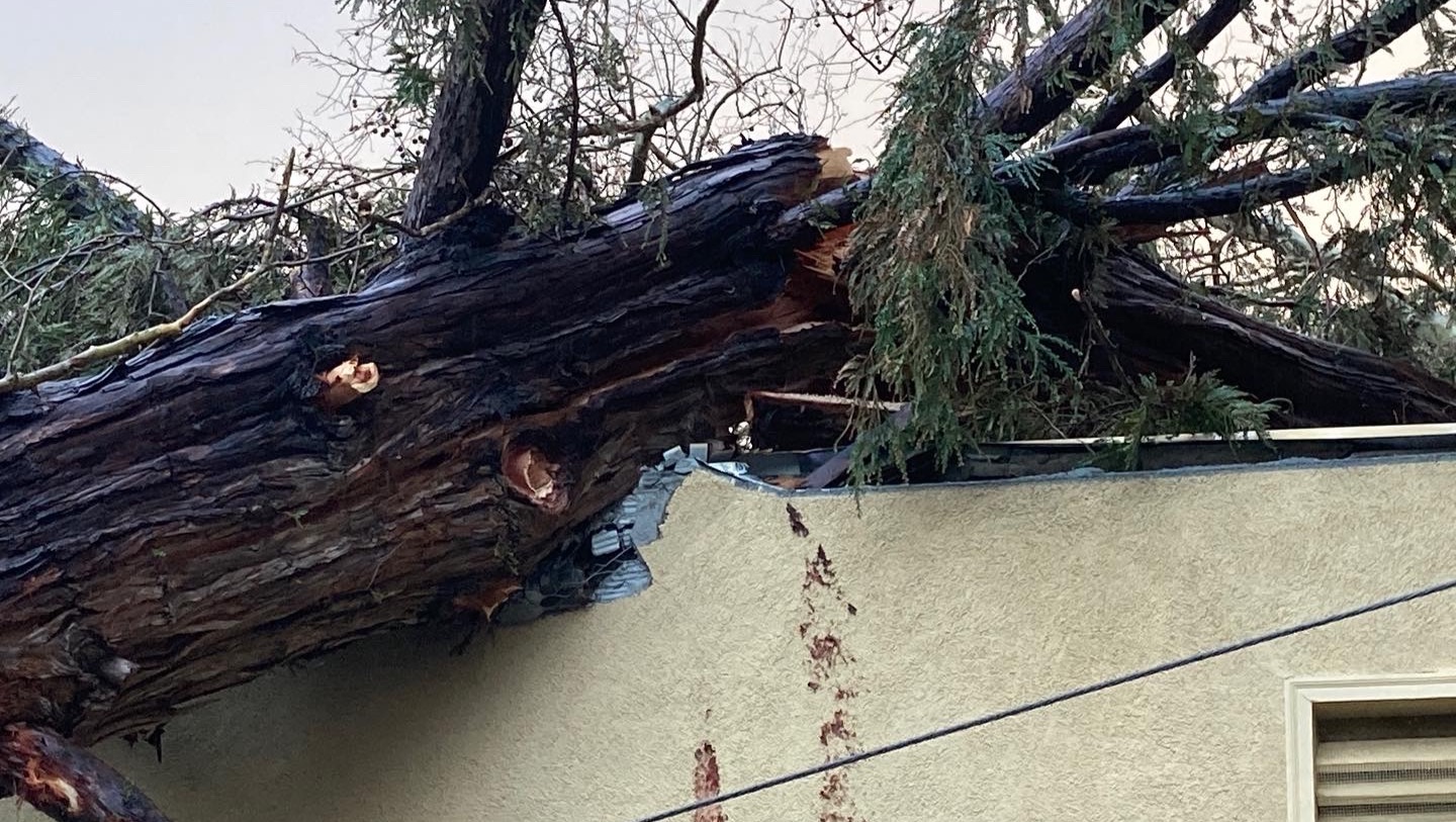 Fundraiser for Jessica Fearnow by Eben E. B. Burgoon : The Feargoon ...