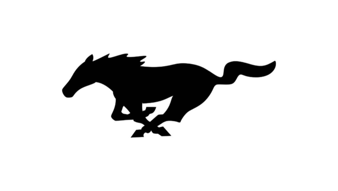 Fundraiser by Renee Hennings : SCTS Class of 2023 Project Graduation