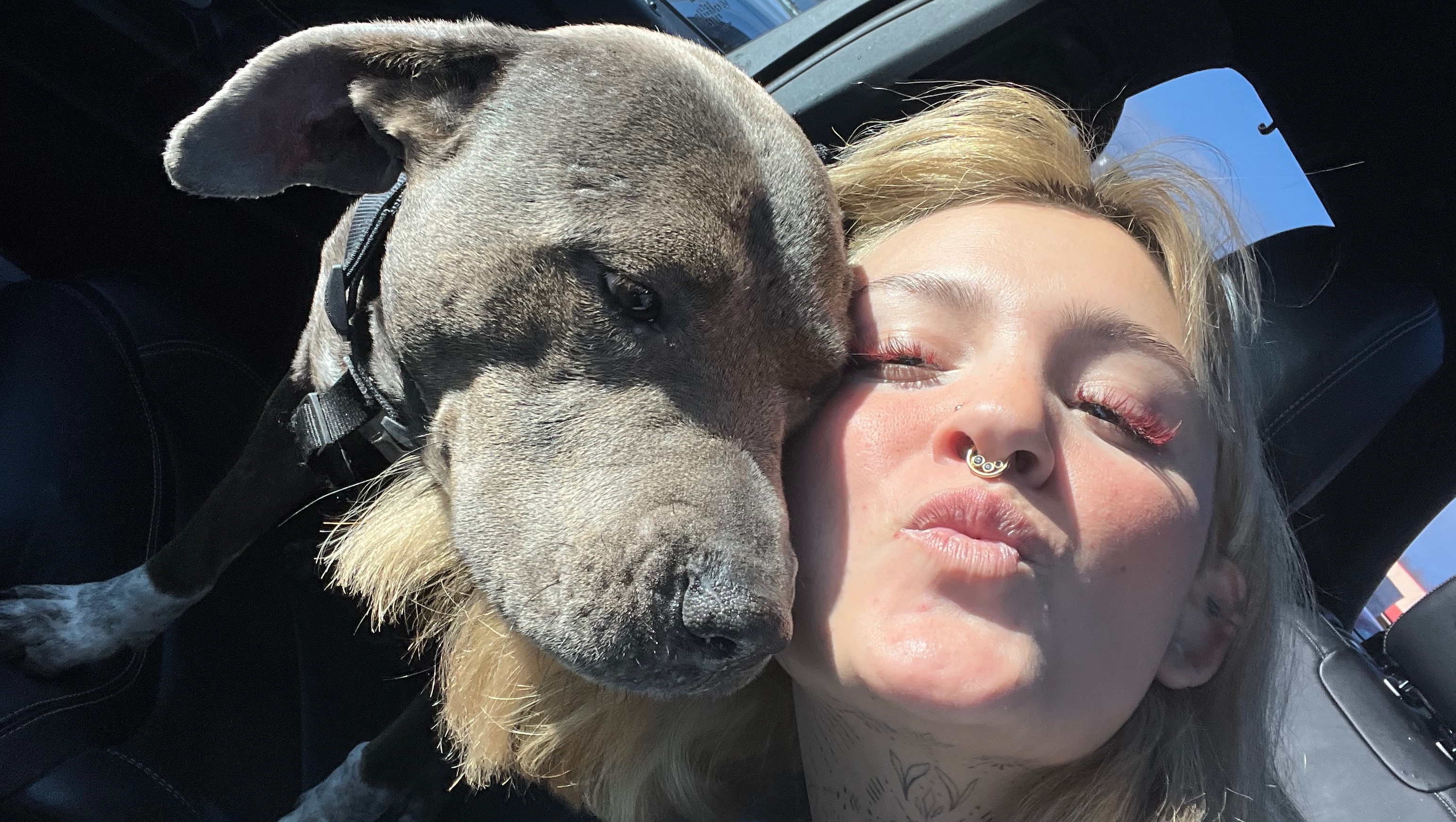 Fundraiser by Chelsea Simpson : Remington’s Emergency Cancer Surgery