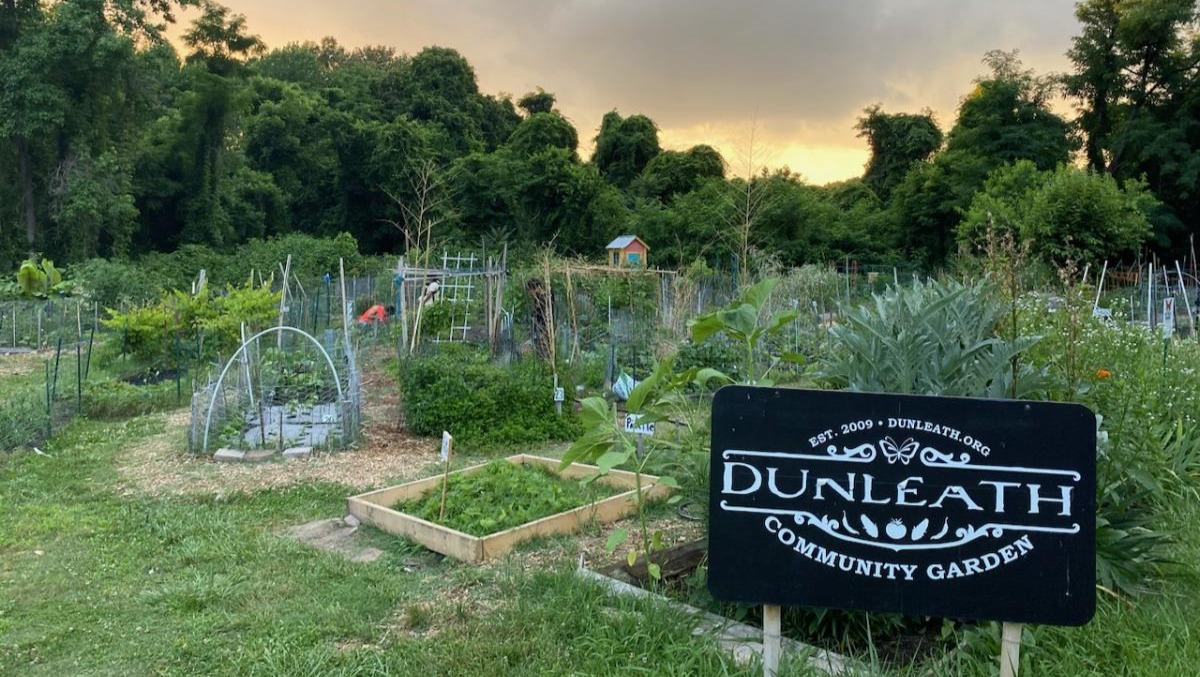 Fundraiser by Nadja Cech : Operating Costs for Dunleath Community Garden