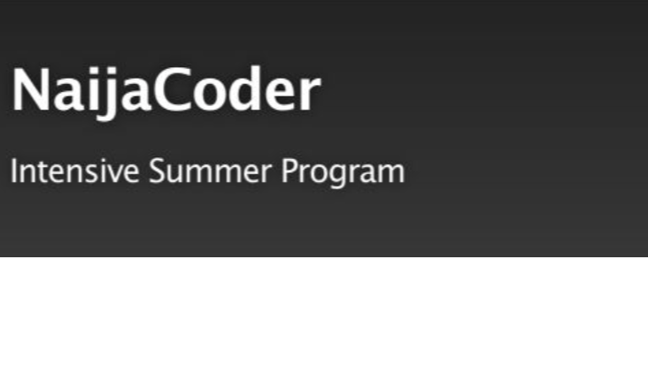 Fundraiser by Philip Abel : Help Launch NaijaCoder Summer Program!