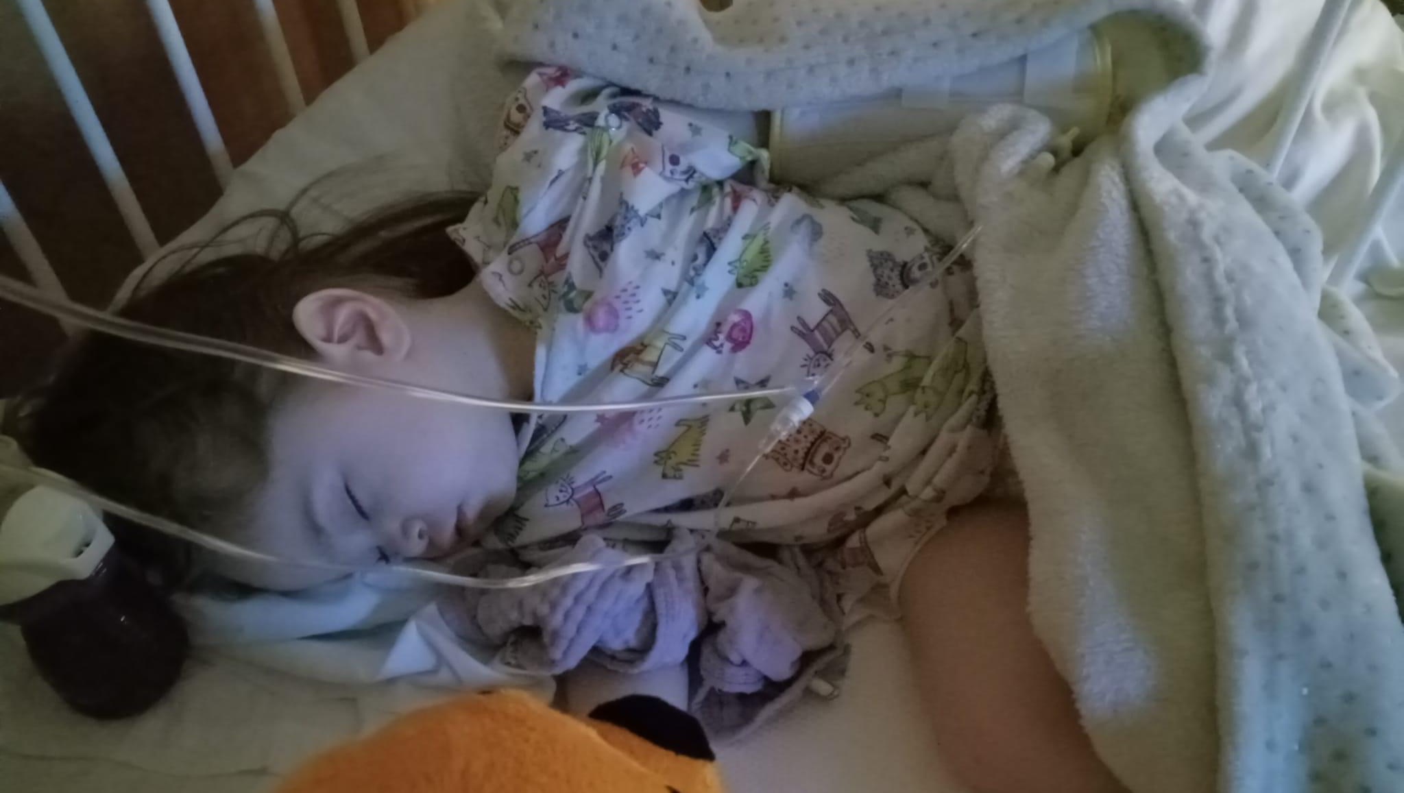 Fundraiser for Bex Jenkins by Katherine Neustice : Prayers For Piper