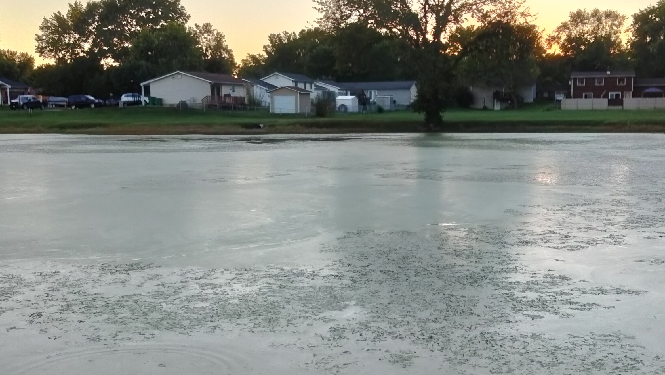 Fundraiser for Montgomery Lackey by Megan Lackey : My mother is in ...