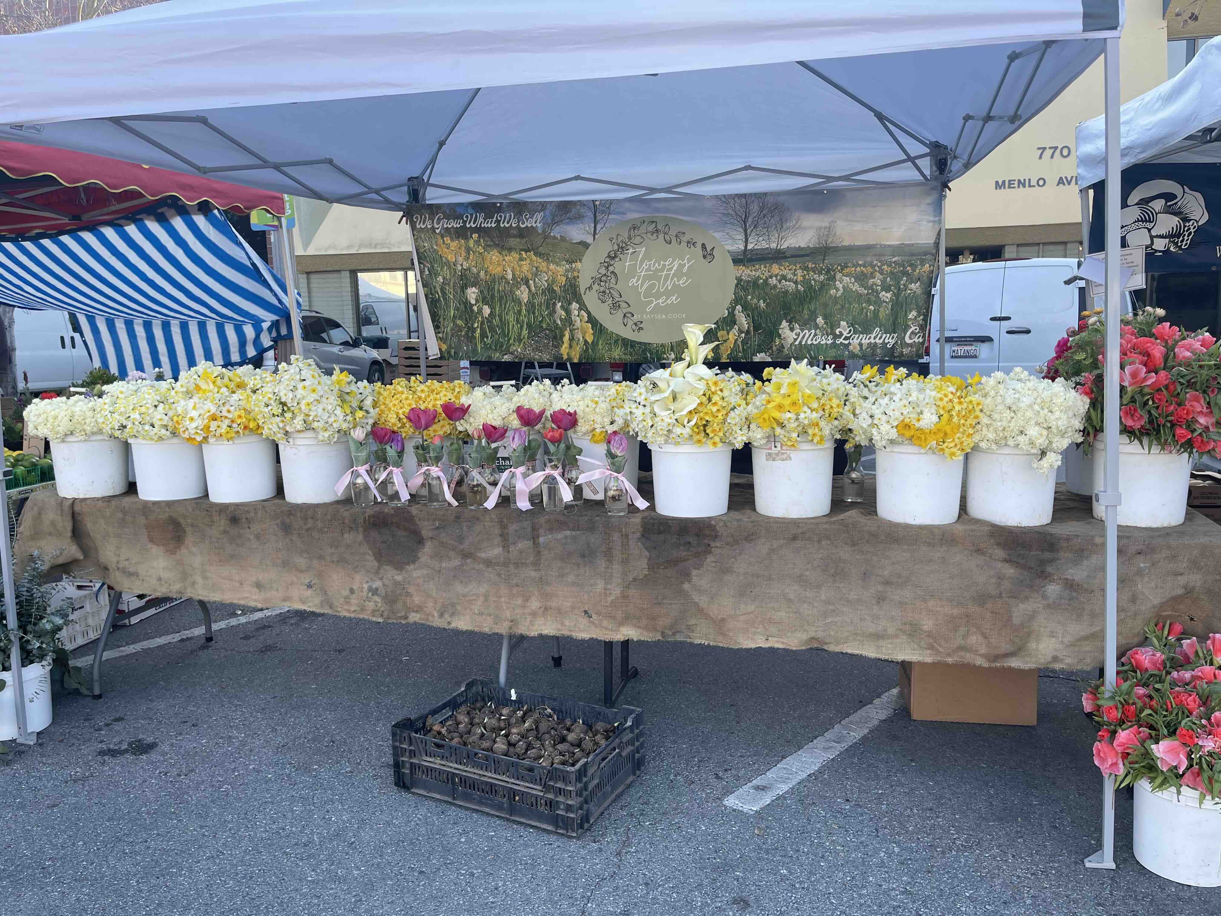 Fundraiser for Kaysea Cook by Jared Truby : Kaysea - Flowers at the Sea ...
