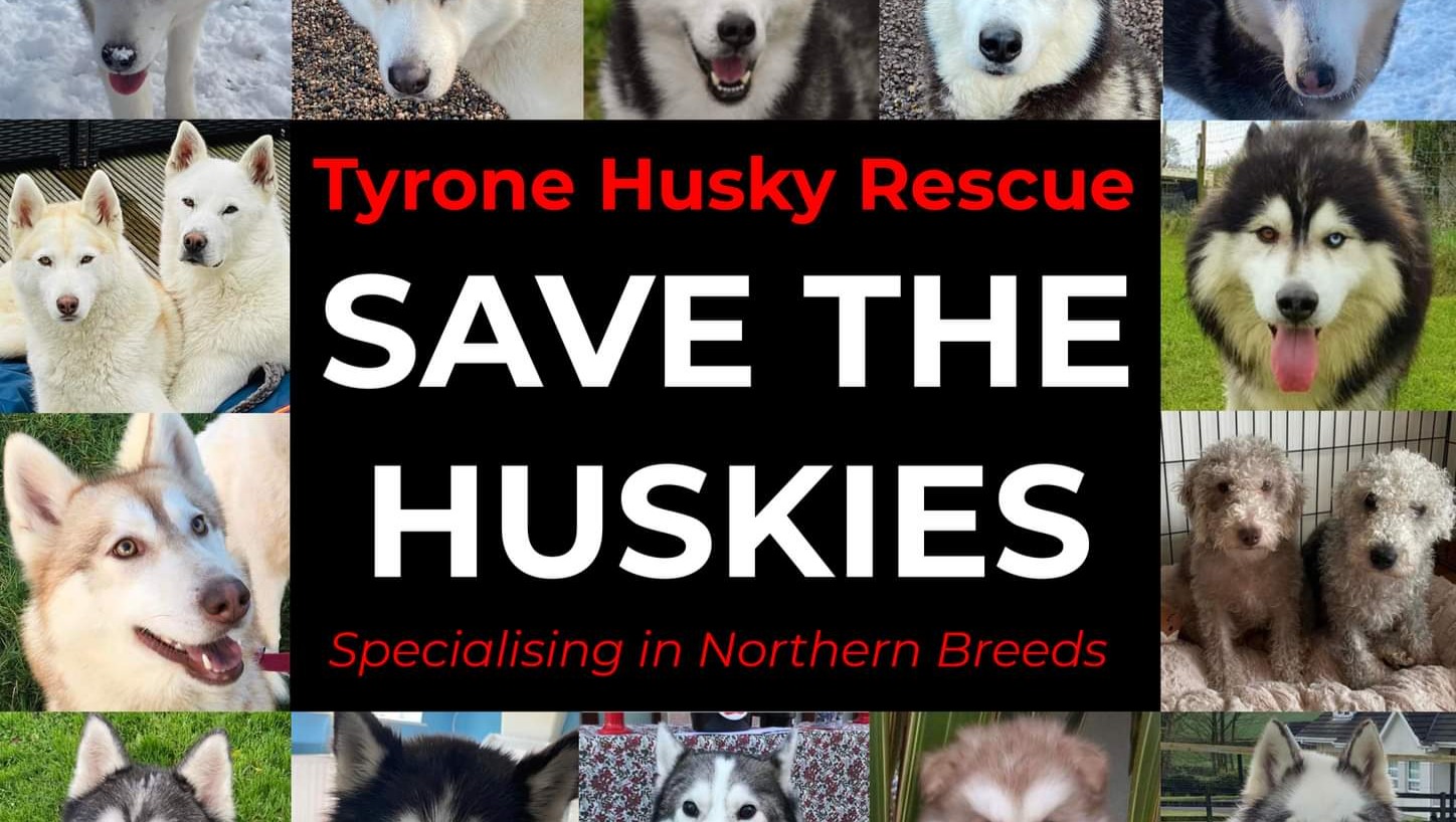 Fundraiser by Paula Adams : Save the Huskies at Tyrone Husky Rescue