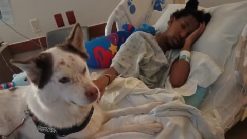 Fundraiser by Brandy Barber : Help for bri & brandy