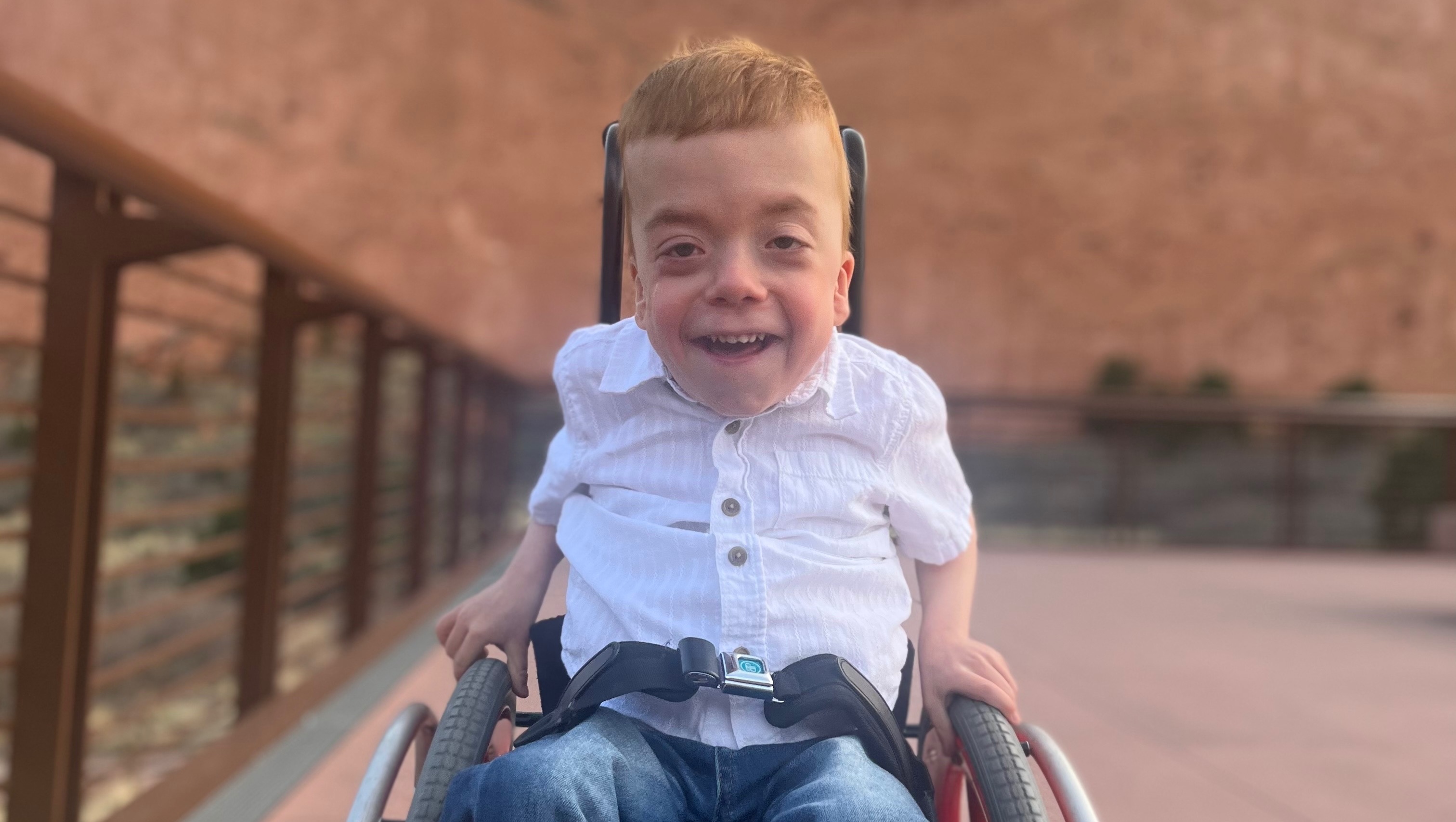 Fundraiser by Mackenzie Williamson : Help Get Finn a Service Dog!