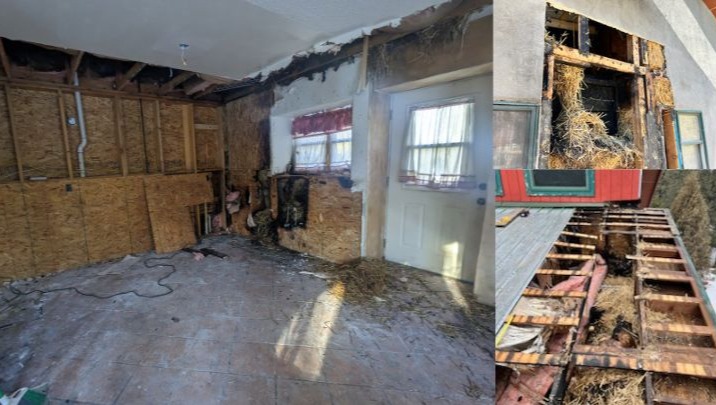 Fundraiser for Valerie Shell by Jamie Mason : Valerie's House Fire Recovery