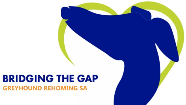Fundraiser by Angela Webb : Bridging the Gap Greyhound Rehoming SA