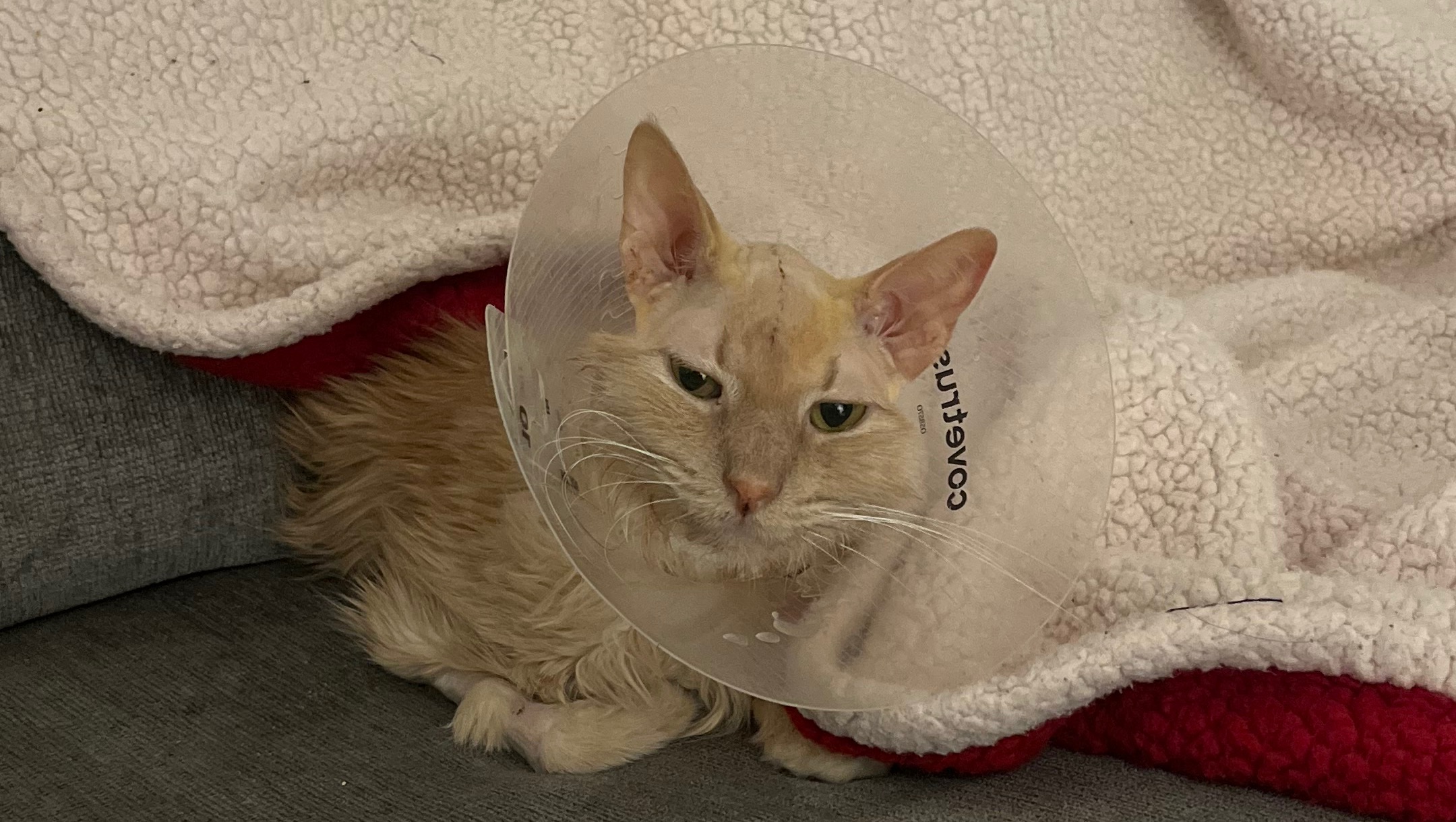 Fundraiser for Larry Byram by Garrett Knack : Help Loomis get life ...