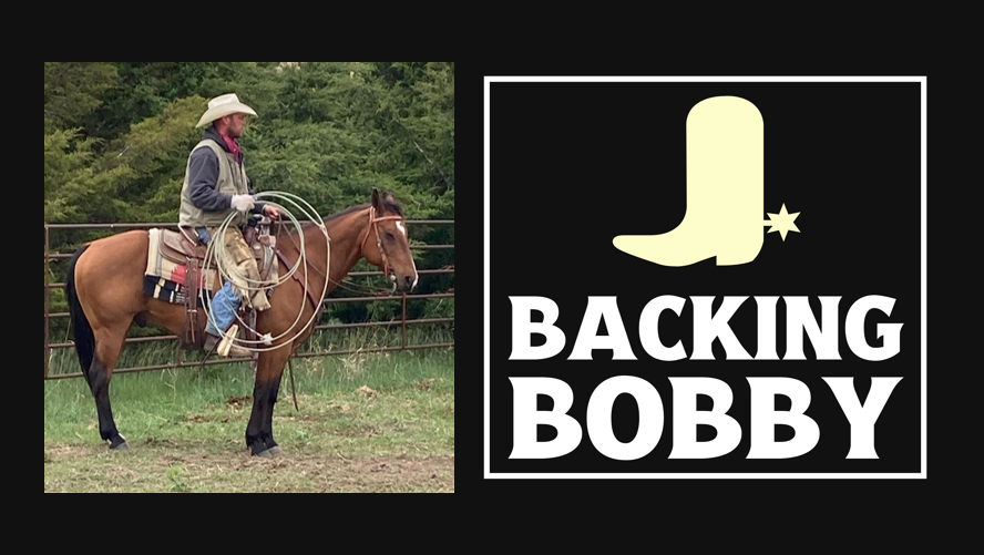 Fundraiser by Alicia Felton : Backing Bobby