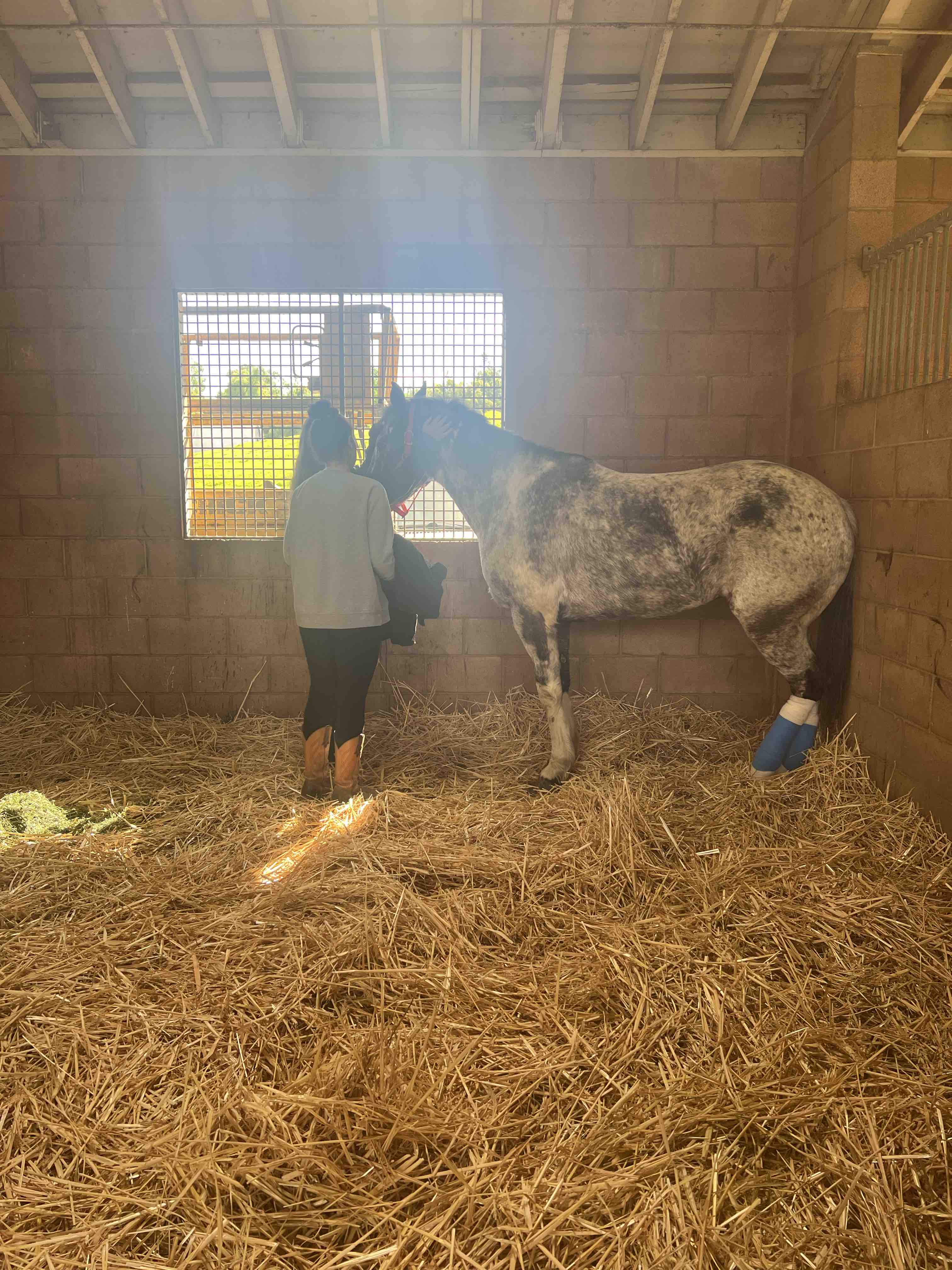 Fundraiser by Katherine Emrick : Help the Aharoni family bring Z home