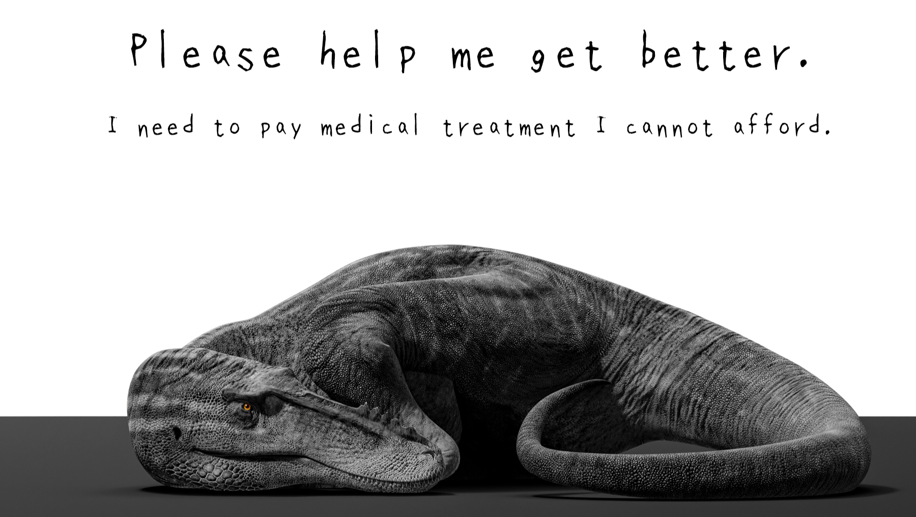 Fundraiser for Callie Cal by Jason Ramos : Help me pay for life ...