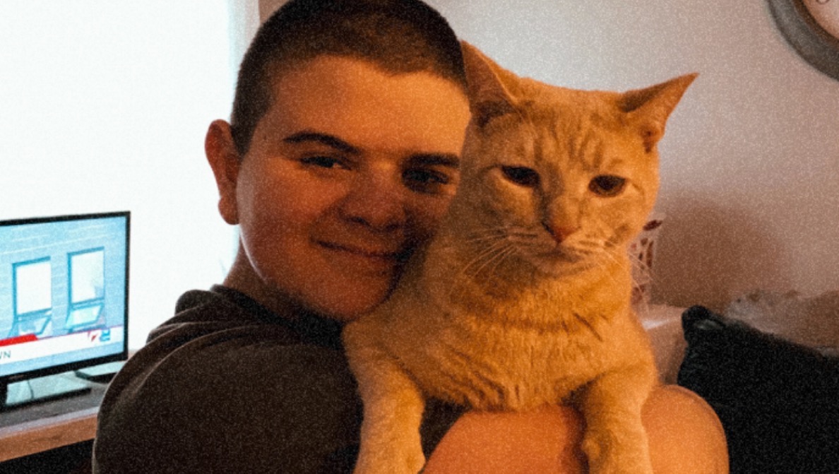 Fundraiser by Avery Medeiros : Charlie, our family cat ️