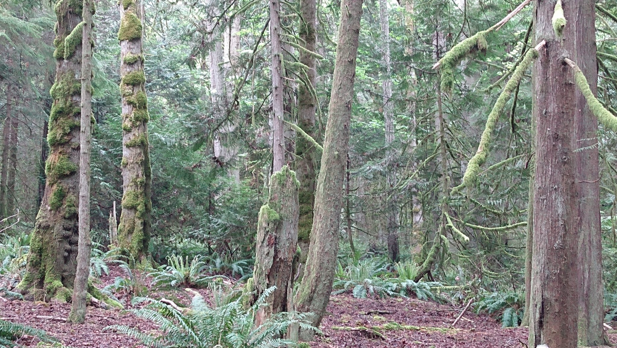 Fundraiser by Ann Daly : Ann's Seattle Travel Fund for John's Med Visits
