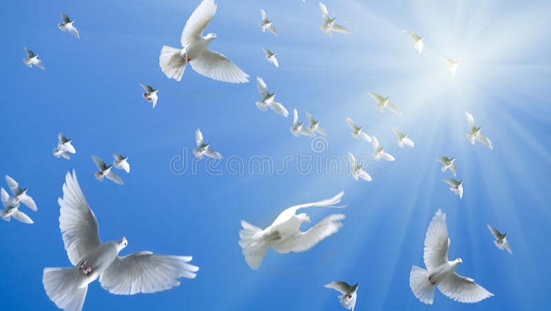 Fundraiser for Amber Lozano by Keneshia Kibble : In Memory of Amber ...