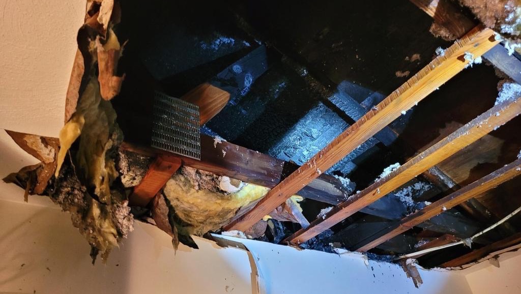 Fundraiser for Elizabeth Harrop by Jodie Davoll : Local Family in Need