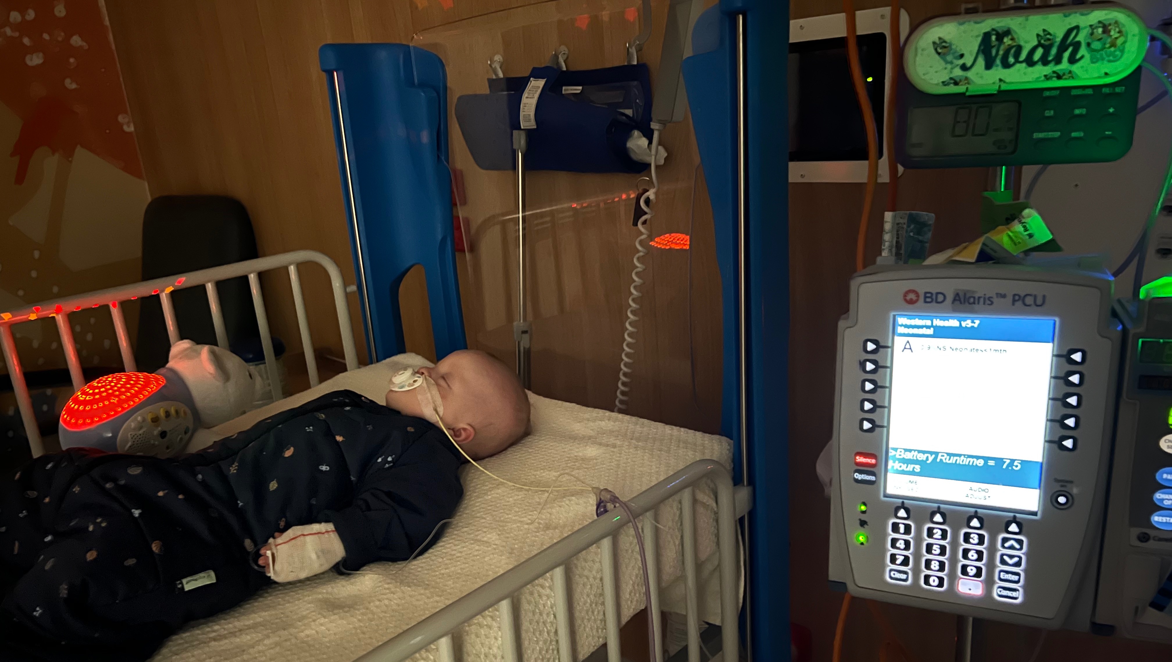 Fundraiser by Kristen Catalano : Help Noah recover