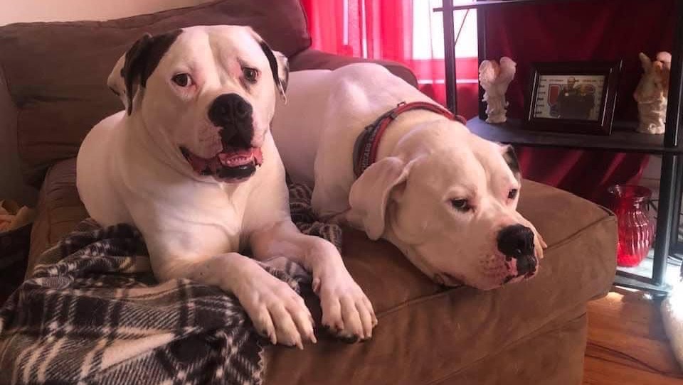 Fundraiser by Myranda Choquette : Funeral costs