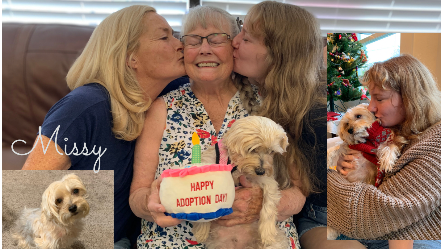 Fundraiser by Sharon Diehl : Missy’s Surgery GoFundMe