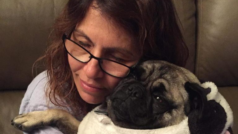 Fundraiser by Jade Gaias : Pug Patrol Rescue AU in memory of Sandra Gaias