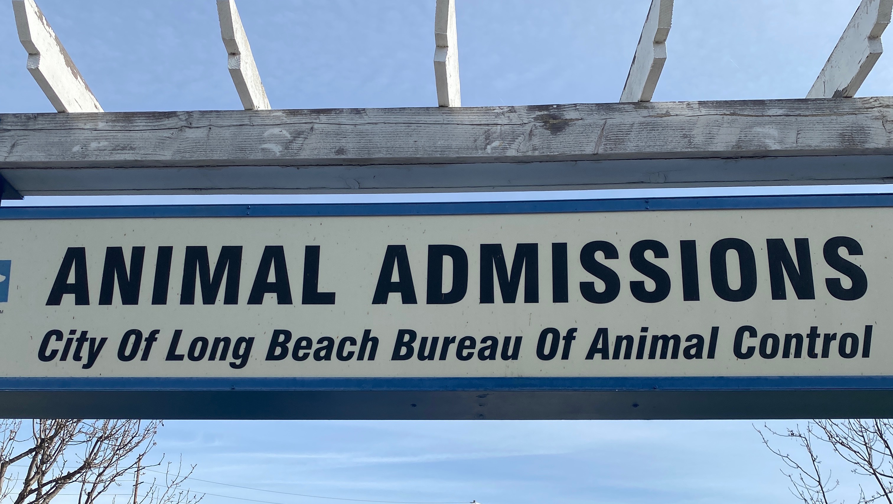 Fundraiser for Michael Sherman by Staycee Dains : Help the Sherman ...