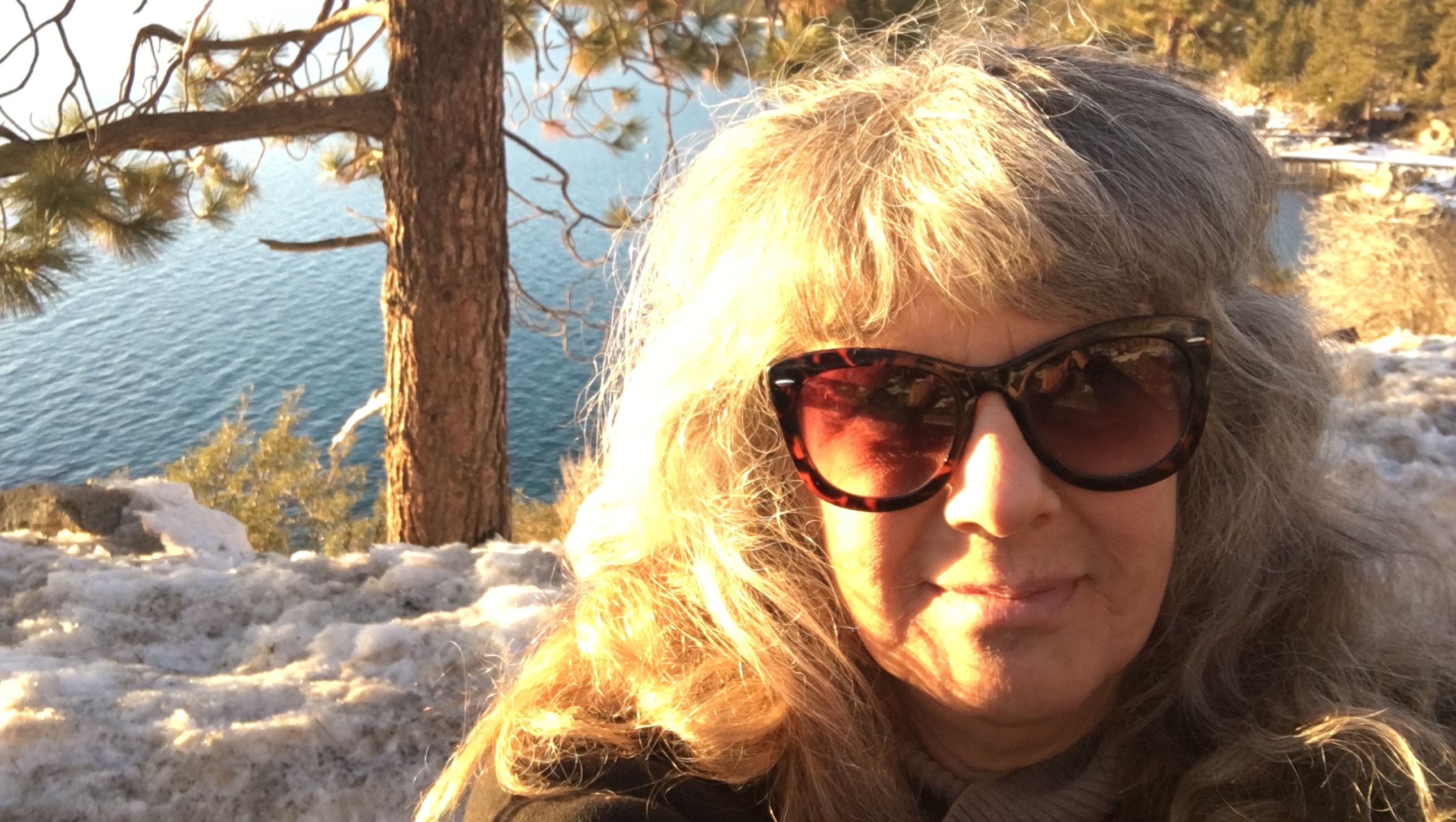 Fundraiser by Lori Ugolik : Emergency Situation